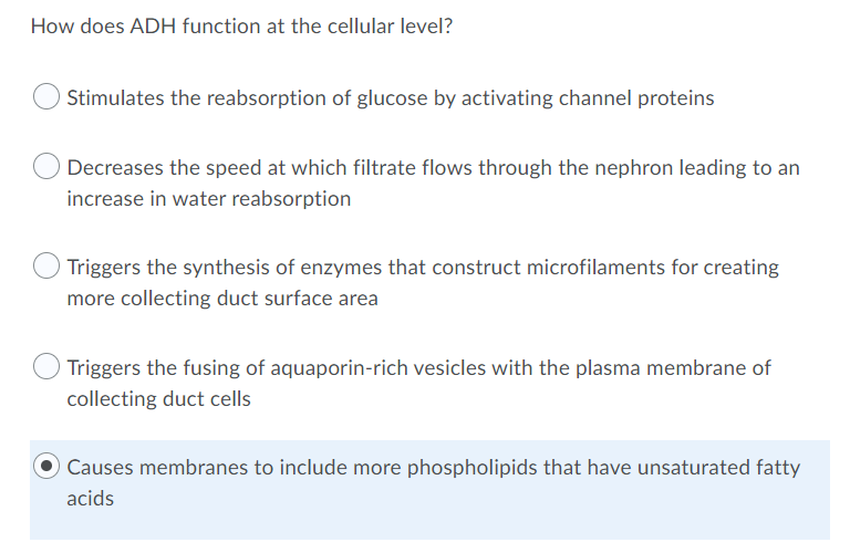 Solved How does ADH function at the cellular level? | Chegg.com