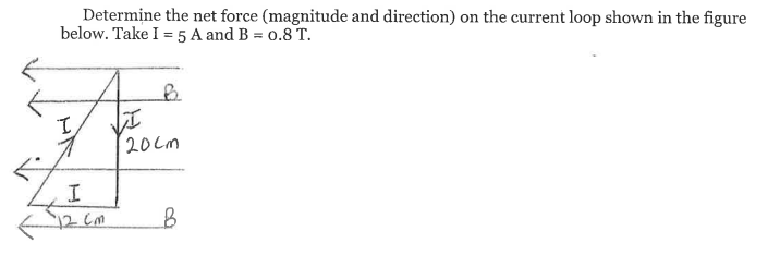 Solved Determine the net force (magnitude and direction on | Chegg.com