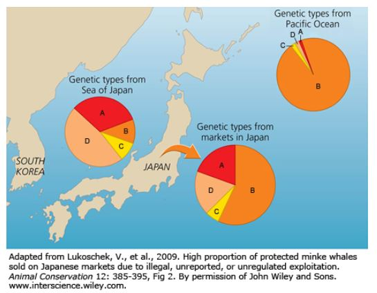 Solved: Part B - Experimental Results: Uncovering Illegal ... | Chegg.com