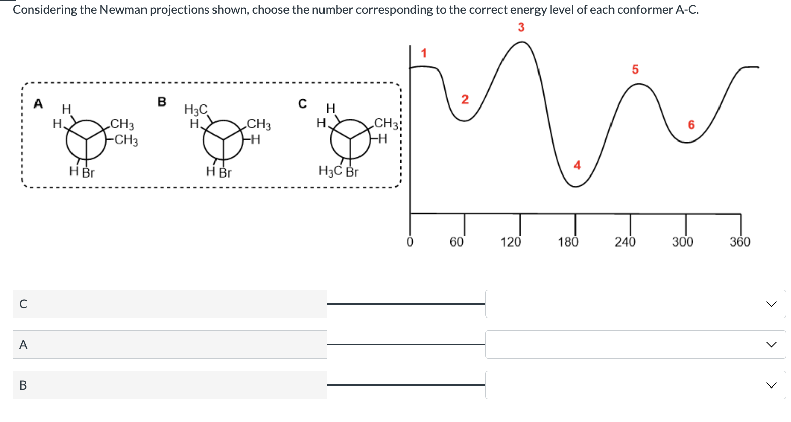 Solved Considering the Newman projections shown, choose the | Chegg.com