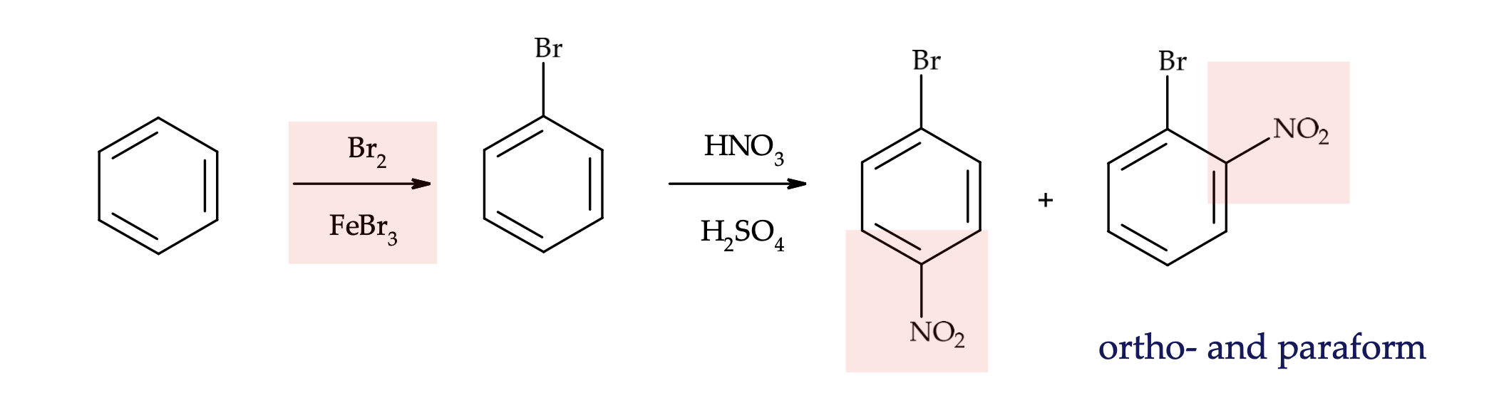 Solved I know that NO2 is electron | Chegg.com
