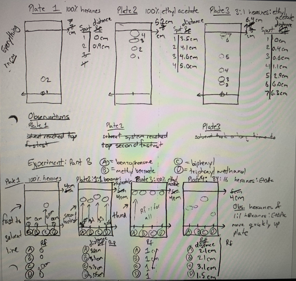 Solved 2. Use the TLC plate templates below (or insert | Chegg.com