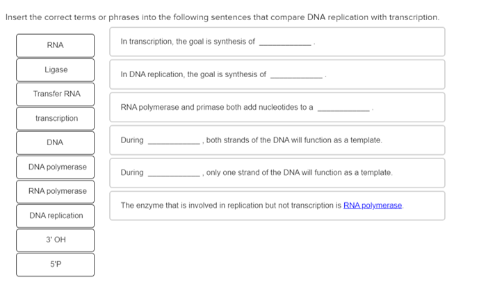 Solved Insert the correct terms or phrases into the | Chegg.com