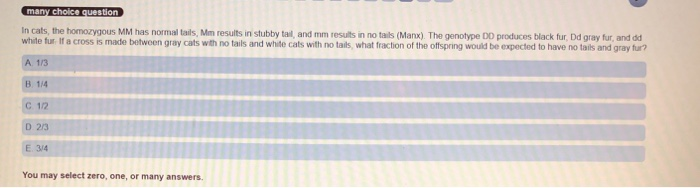 Solved In cats, the homozygous MM has normal tails, Mm | Chegg.com