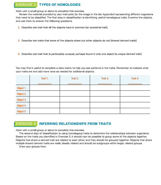 solved-china-pretty-stone-exercise-3-types-of-homologies-chegg