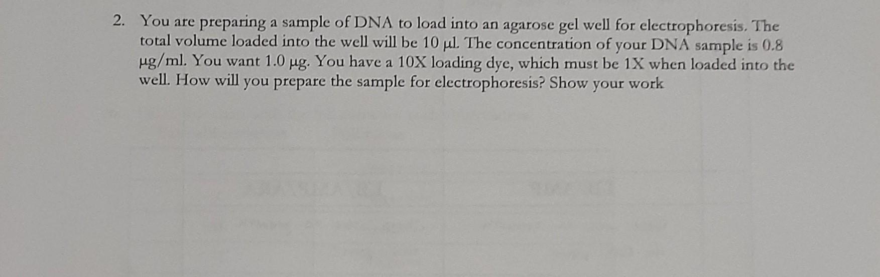 Solved 2. You are preparing a sample of DNA to load into an | Chegg.com