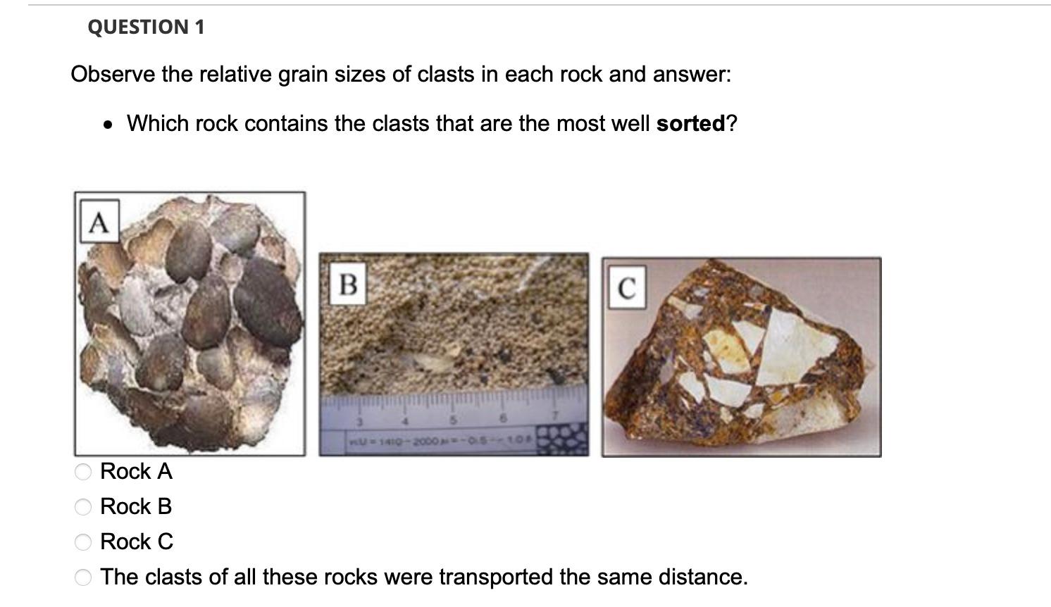 Solved Observe the relative grain sizes of clasts in each | Chegg.com