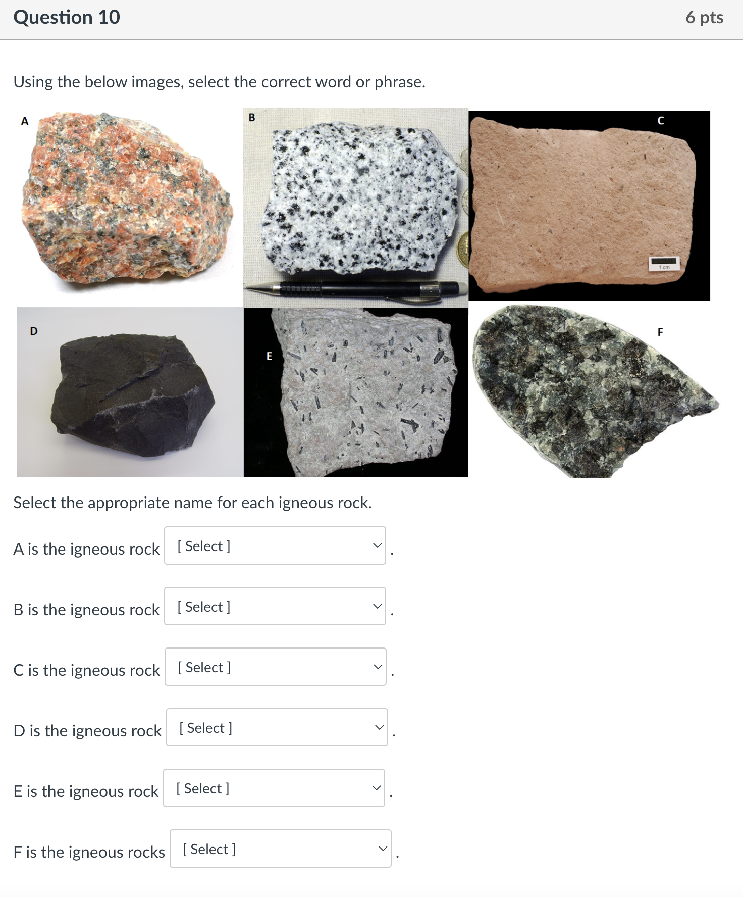 Solved Using the below images, select the correct word or | Chegg.com