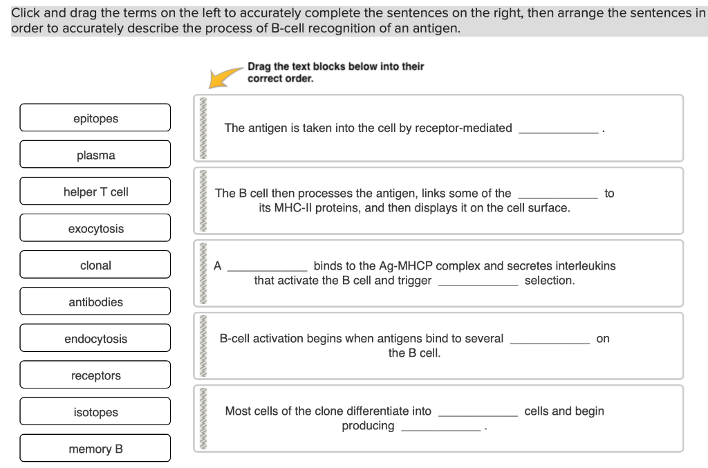 Solved Click and drag the terms on the left to accurately | Chegg.com