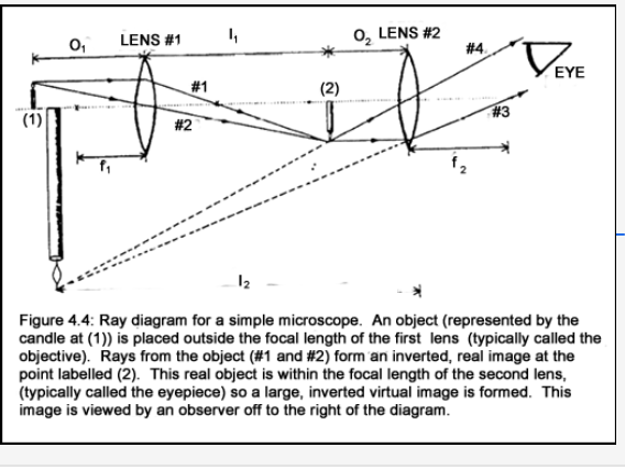Solved (1 point) In Part 4.2.5 of the experiment, the | Chegg.com