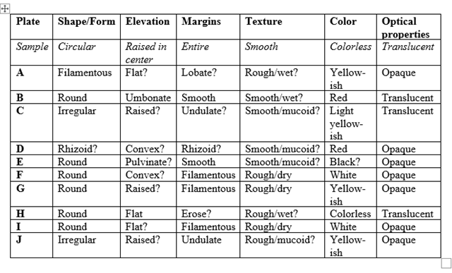 Solved Describe the morphology of the colonies on the plates | Chegg.com