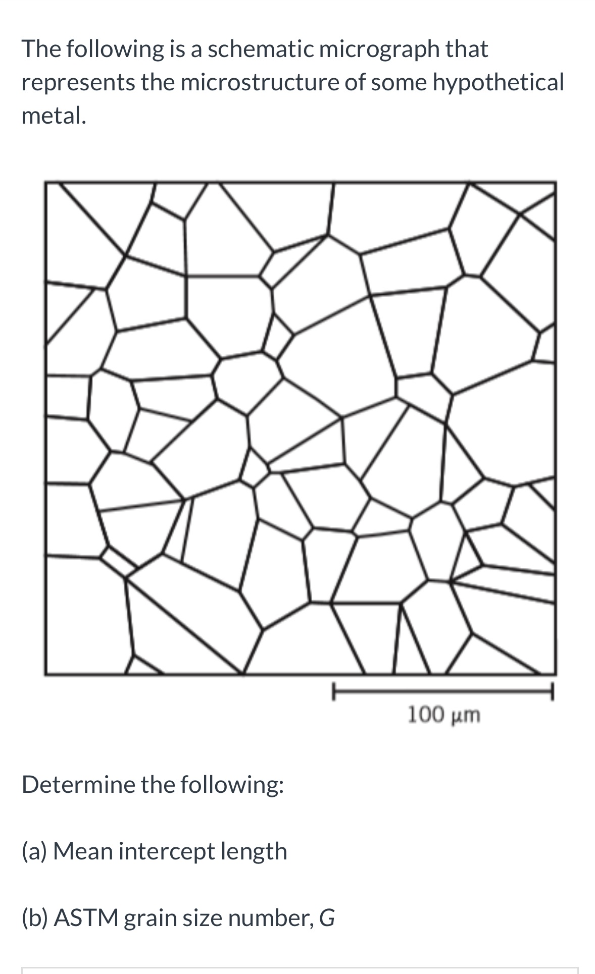 Solved The following is a schematic micrograph | Chegg.com