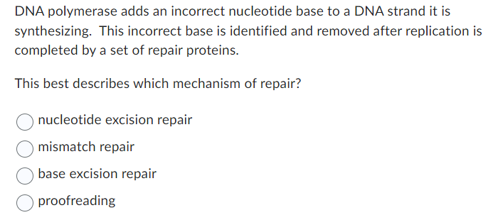 Solved answer this DNA polymerase adds an incorrect | Chegg.com