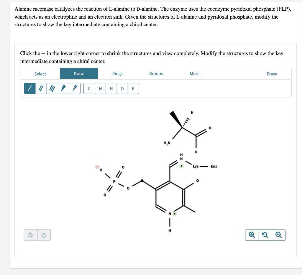 Solved Alanine racemase catalyzes the reaction of L‑alanine | Chegg.com