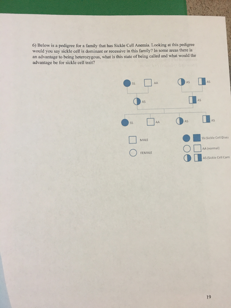 Solved 6) Below is a pedigree for a family that has Sickle | Chegg.com