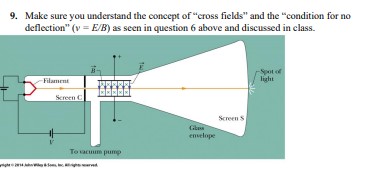 Solved Make sure you understand the concept of “cross | Chegg.com