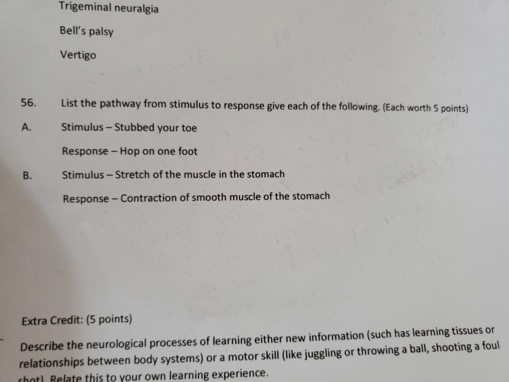 Solved Trigeminal neuralgia Bell's palsy Vertigo 56. List | Chegg.com