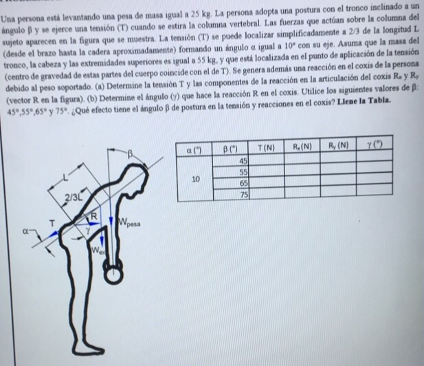 Solved Una persona está levantando una pesa de masa igual a | Chegg.com