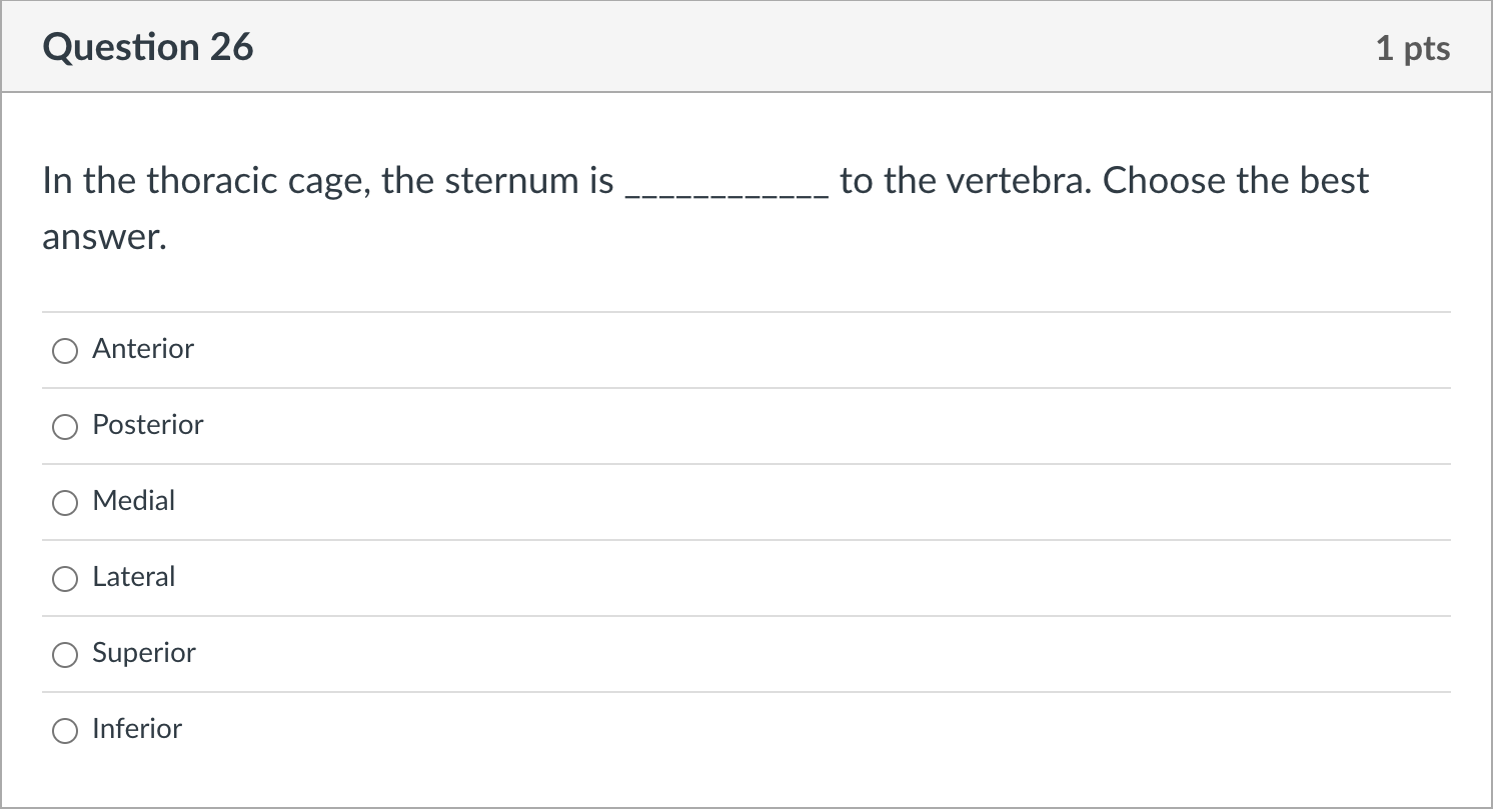 Solved Name the feature that is highlighted Manubrium | Chegg.com