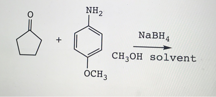 Solved NH 2 NaBH4 CH2OH solvent OCH 3 | Chegg.com