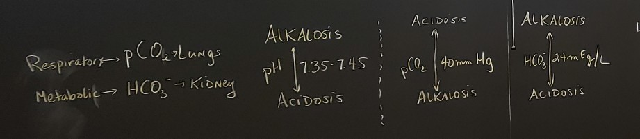 Solved 12. pH PCO2 48 7.30 HCO3 24 13. pH 7.49 PCO2 47 HCO3 | Chegg.com