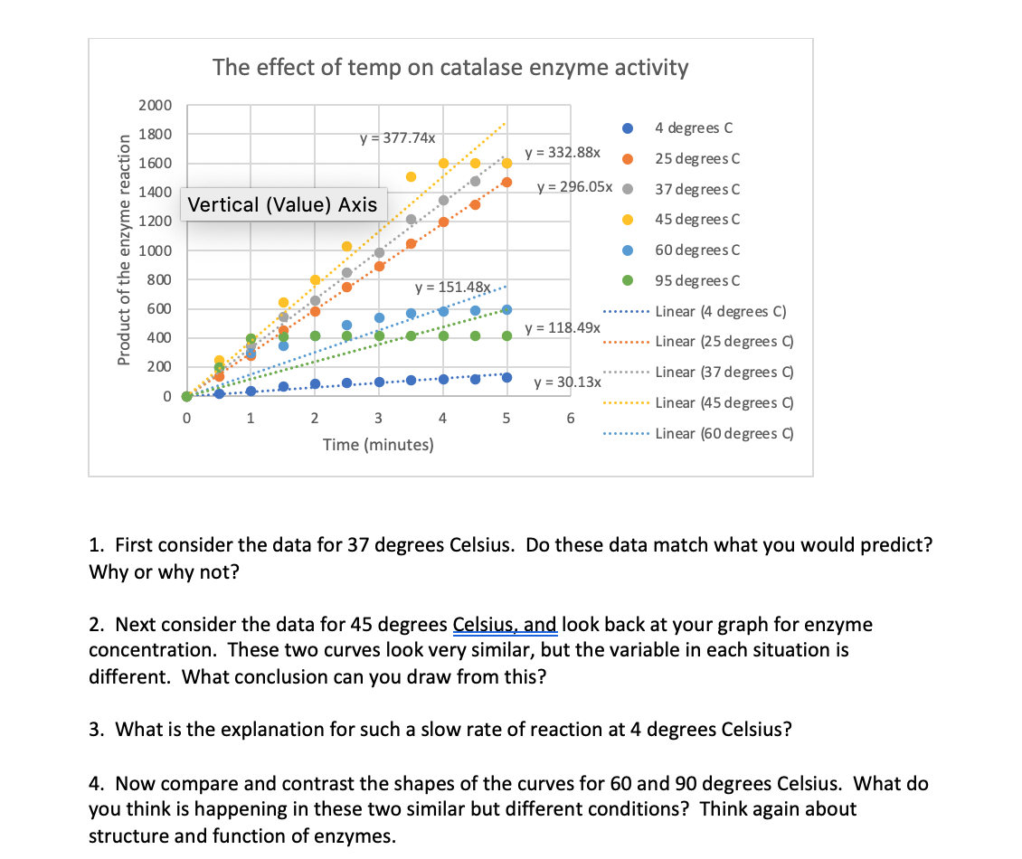 Solved The effect of temp on catalase enzyme activity 2000 | Chegg.com