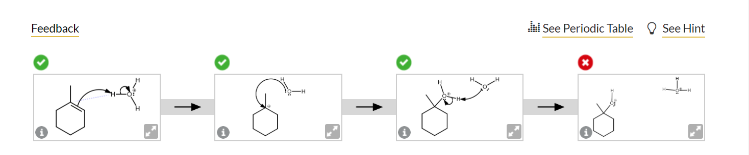 Solved Why is the last box wrong? | Chegg.com