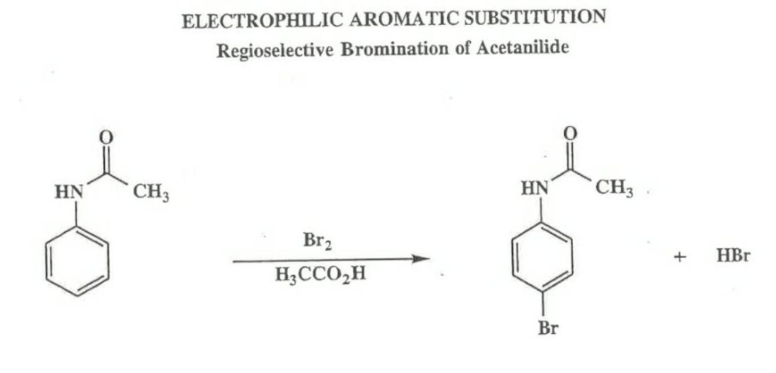 Solved ELECTROPHILIC AROMATIC SUBSTITUTION Regioselective | Chegg.com