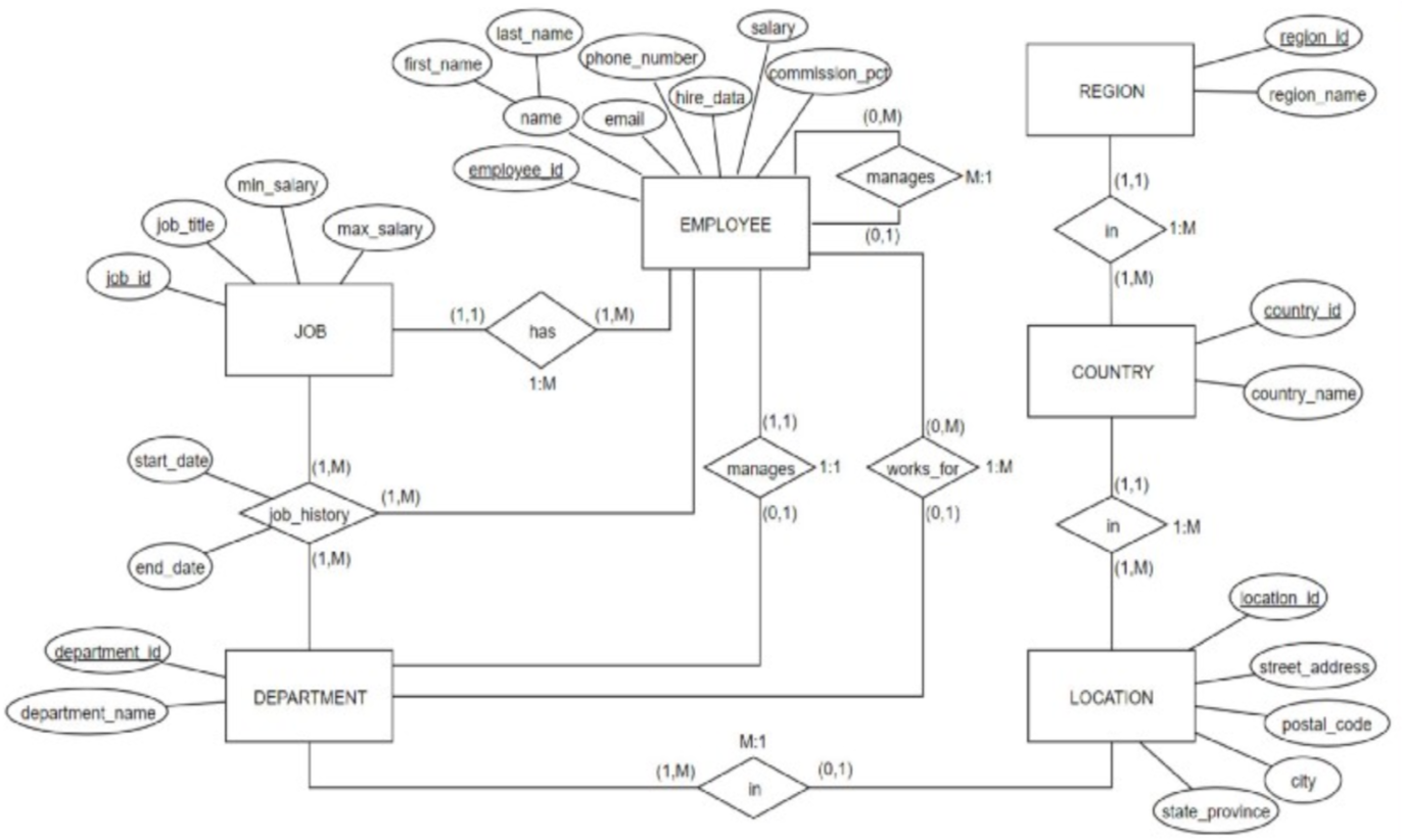 Solved I want a Solution of this (ERD chen notation) By | Chegg.com