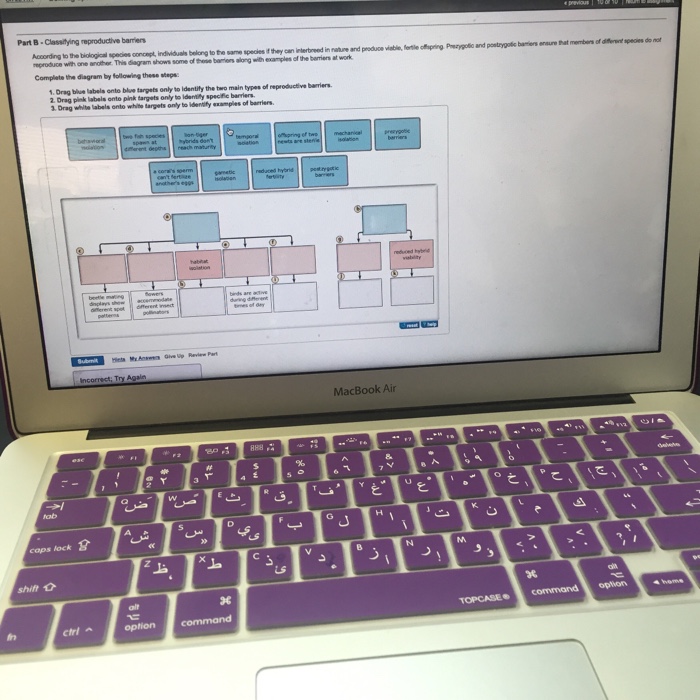 Solved Part B Classitying reproductive barriers According to | Chegg.com