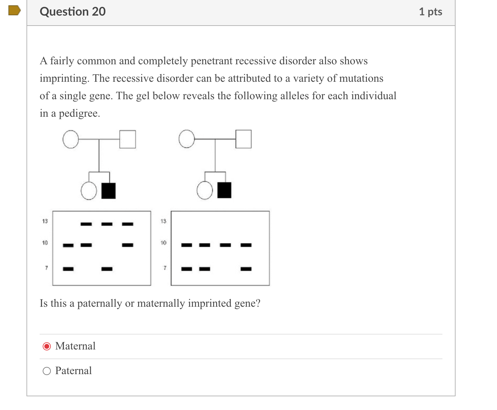 Solved If the affected male in the left pedigree marries the | Chegg.com