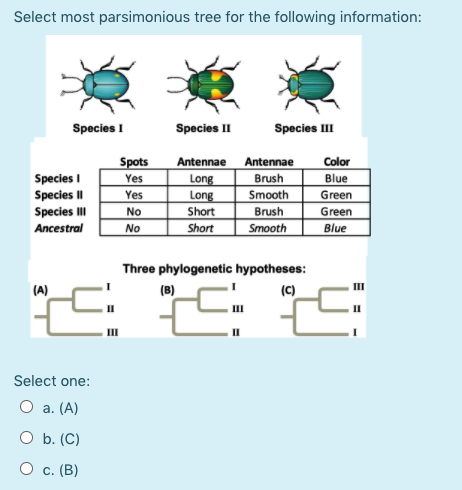 Solved Select most parsimonious tree for the following | Chegg.com