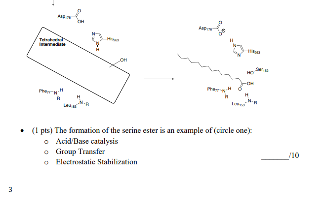 Solved Part 3. Lipase Mechanism (9 pts) Add arrows and | Chegg.com