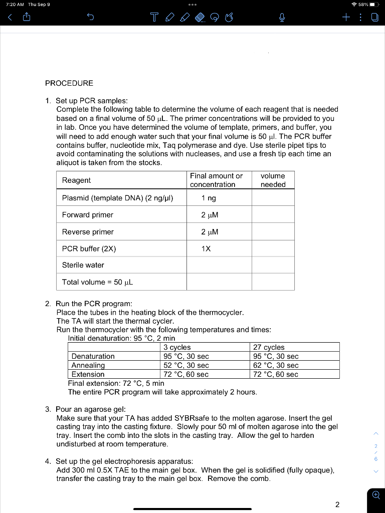 7:20 AM Thu Sep 9 58% Q +: PROCEDURE 1. Set up PCR | Chegg.com