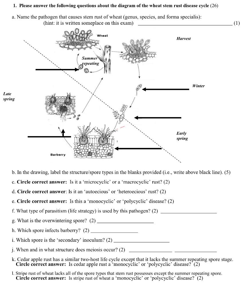Solved 1. Please answer the following questions about the | Chegg.com