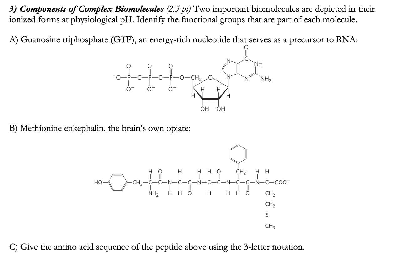 Solved 3) Components of Complex Biomolecules (2.5 pt) Two | Chegg.com