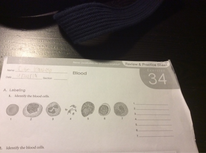 Solved Now Reviow & Practice Sheet Name Blood 34 Date | Chegg.com