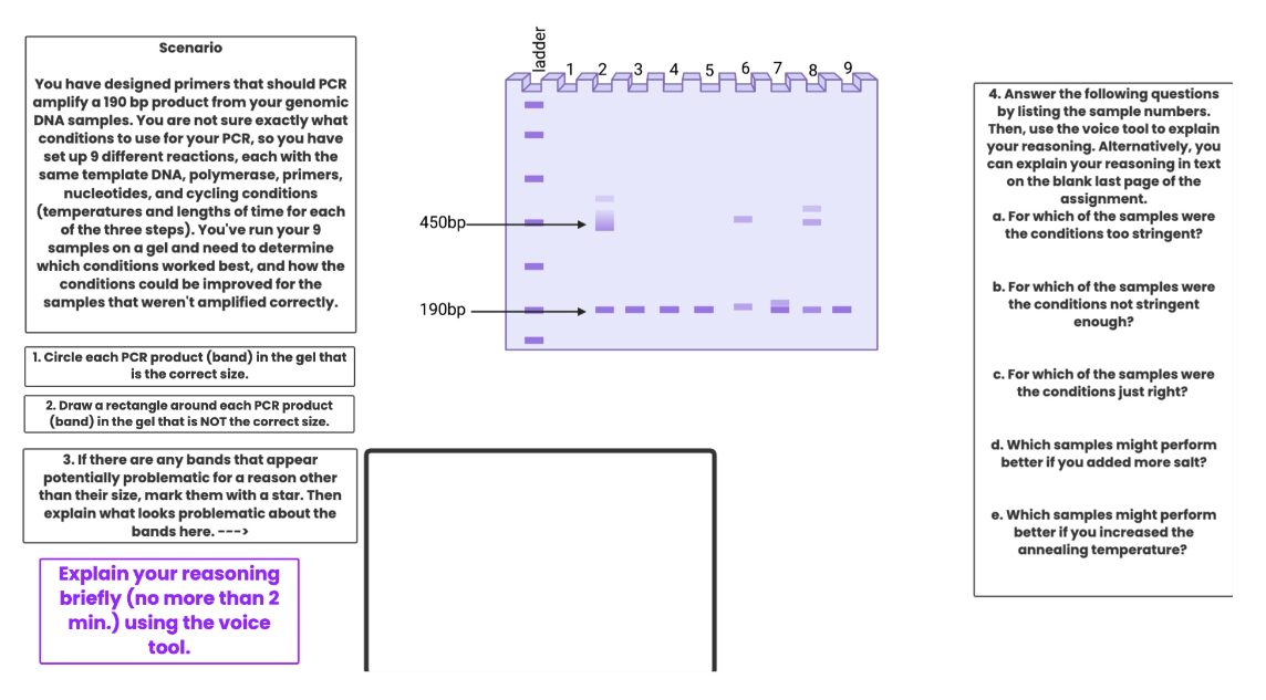 Solved Please answer questions 1, 2, and 3 on the right side | Chegg.com