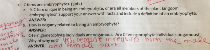 Solved 1. C-ferns are embryophytes. (3pts) a. Is C-fern | Chegg.com