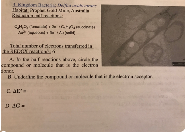 Solved 3. Kingdom Bacteria: Delftia acidovorans Habitat: | Chegg.com