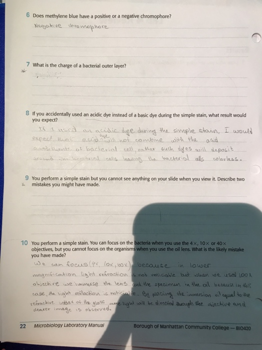 Solved 6 Does methylene blue have a positive or a negative | Chegg.com
