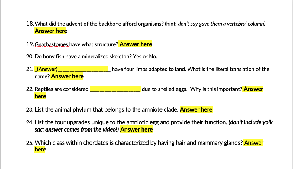 Solved Activity 5: Phylum Chordata Phylum Chordata includes | Chegg.com