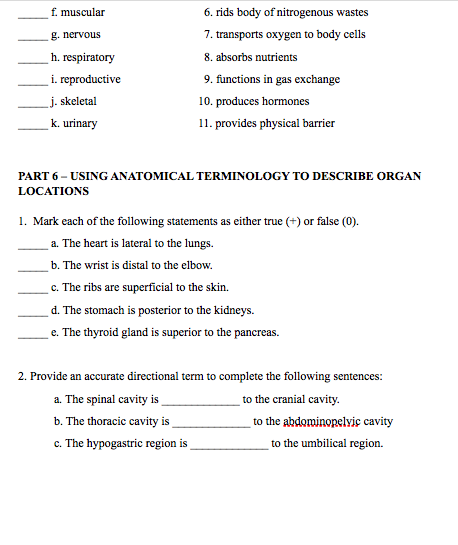 PART 1 - LOCATING & DESCRIBING MAJOR ORGANS & THEIR | Chegg.com