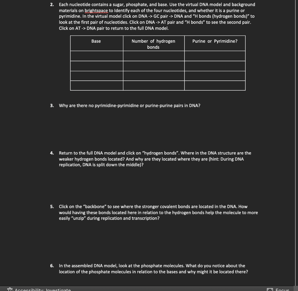 Solved You will be using a 3-D Molecule Designs DNA model at | Chegg.com