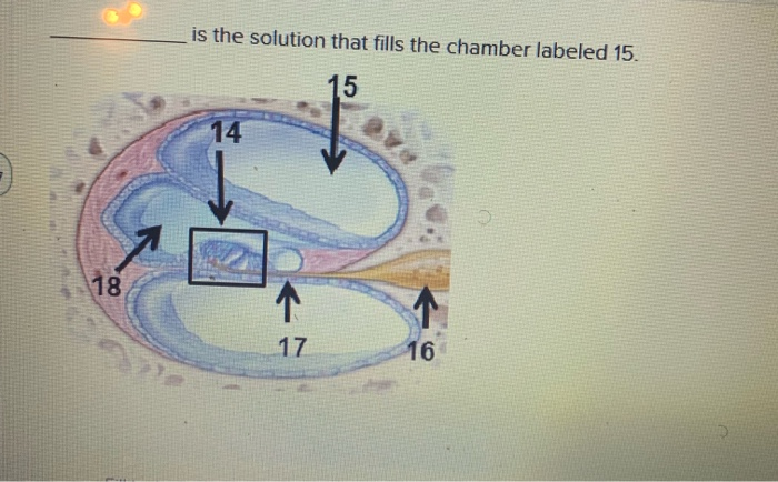 Solved is the solution that fills the chamber labeled 15. 14 | Chegg.com