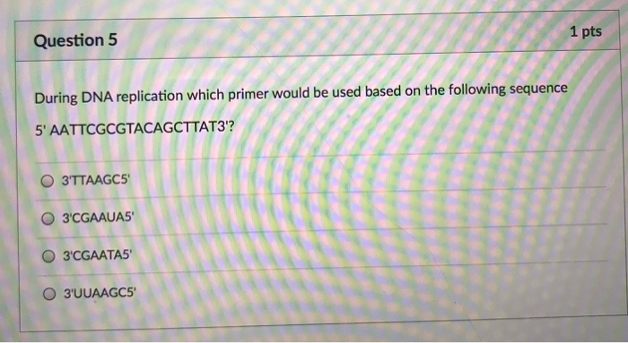Solved Question 5 1 pts During DNA replication which primer | Chegg.com