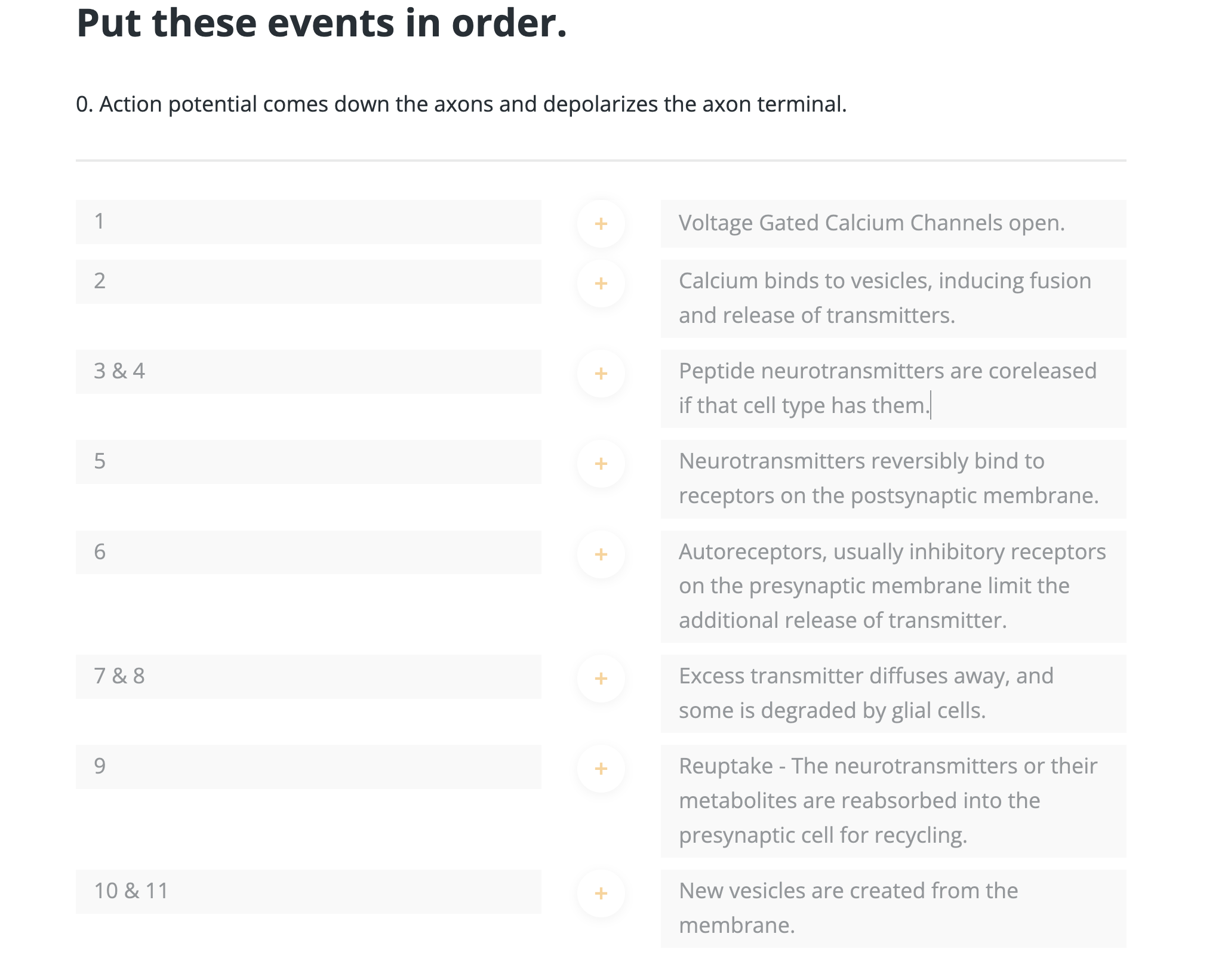Solved Put this in order Action potential comes down the | Chegg.com