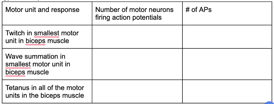 Solved \begin{tabular}{|l|l|l|} \hline Motor unit and | Chegg.com