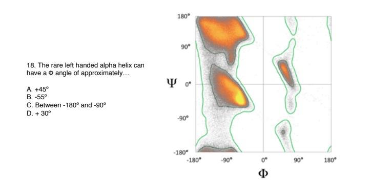 Solved 180° 90 YO 18. The rare left handed alpha helix can | Chegg.com