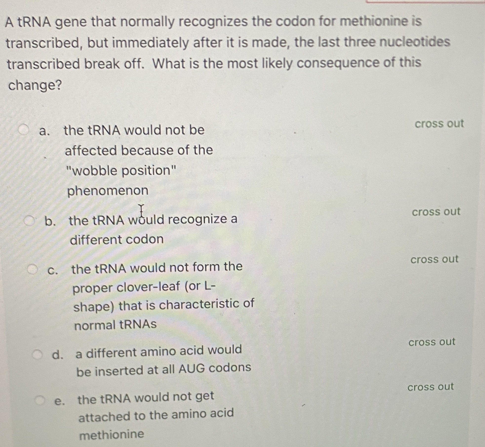 Solved A tRNA gene that normally recognizes the codon for | Chegg.com